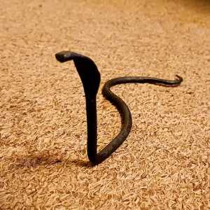 Hand Forged Iron Miniature King Cobra Snake, Blacksmith Made, Steel ...