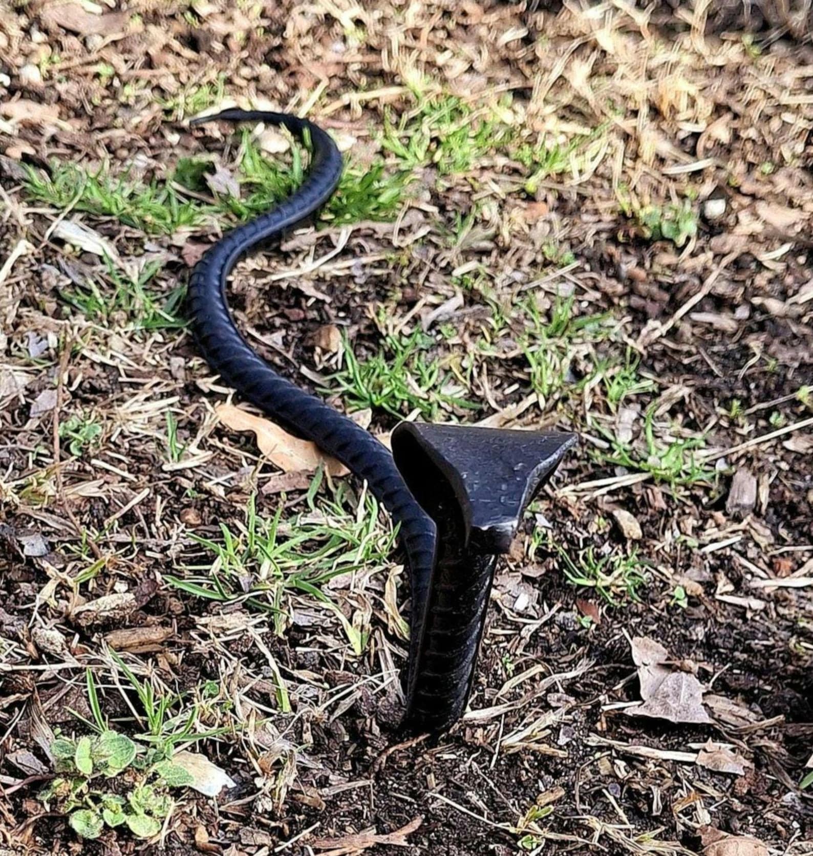 Hand Forged Iron Rebar King Cobra Snake, Blacksmith Made, Steel Snake ...