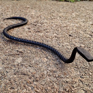 Hand Forged Iron Rebar Snake, Steel Snake Sculpture Decor, Yard Art ...