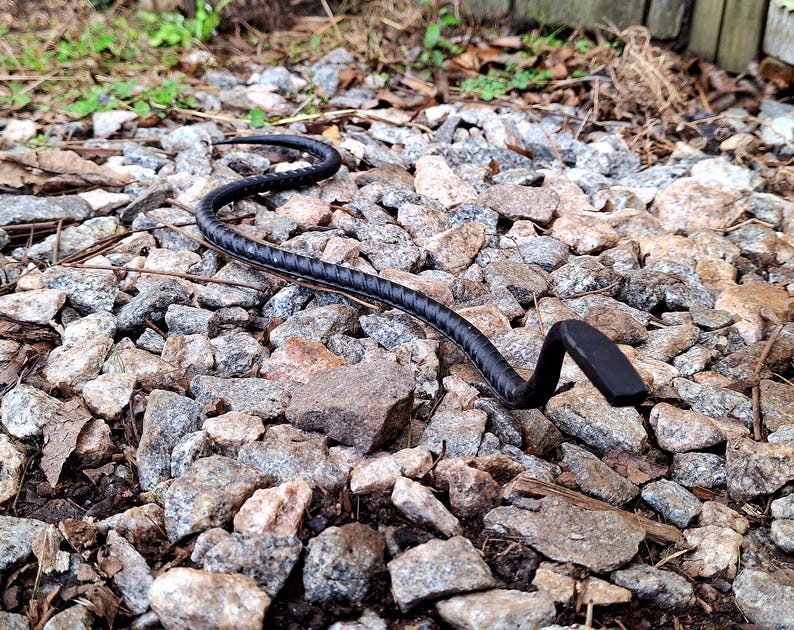 Hand Forged Iron Rebar Snake, Steel Snake Sculpture Decor, Yard Art ...