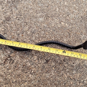 Hand Forged Iron Rebar King Cobra Snake, Blacksmith Made, Steel Snake ...
