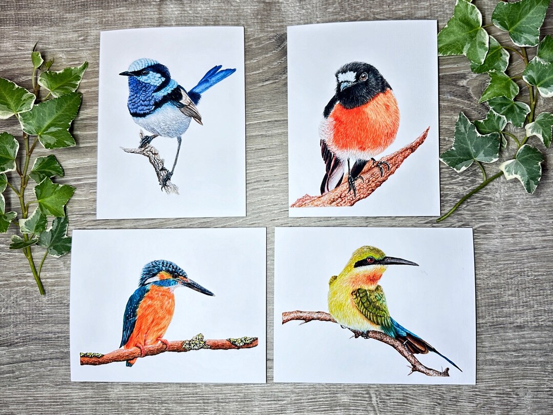 Bird Notecards, Blue-tailed Bee-eater, Kingfisher, Fairy Wren, Scarlet ...