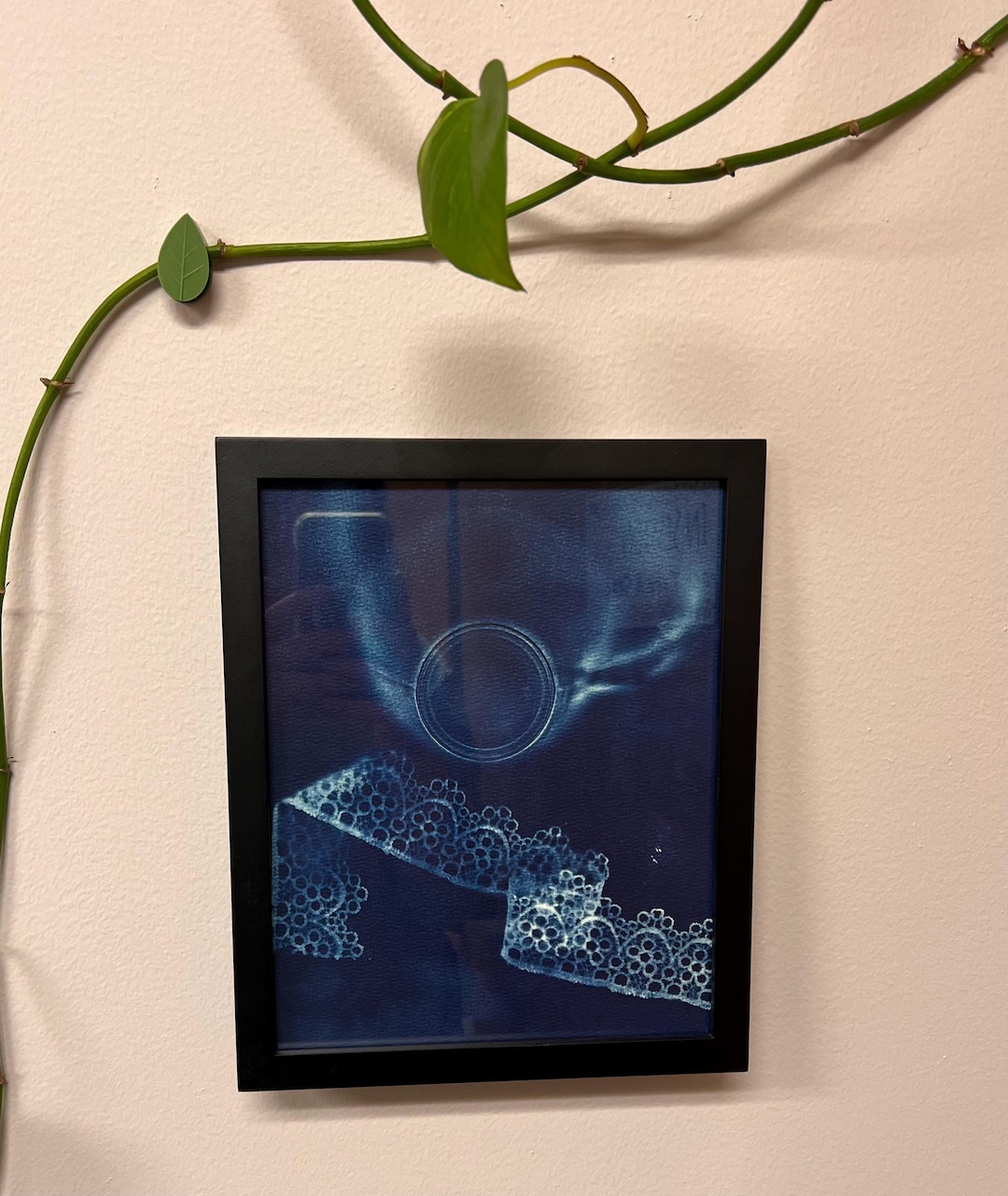 Ghost Coffee Cyanotype Photogram in Frame - Etsy