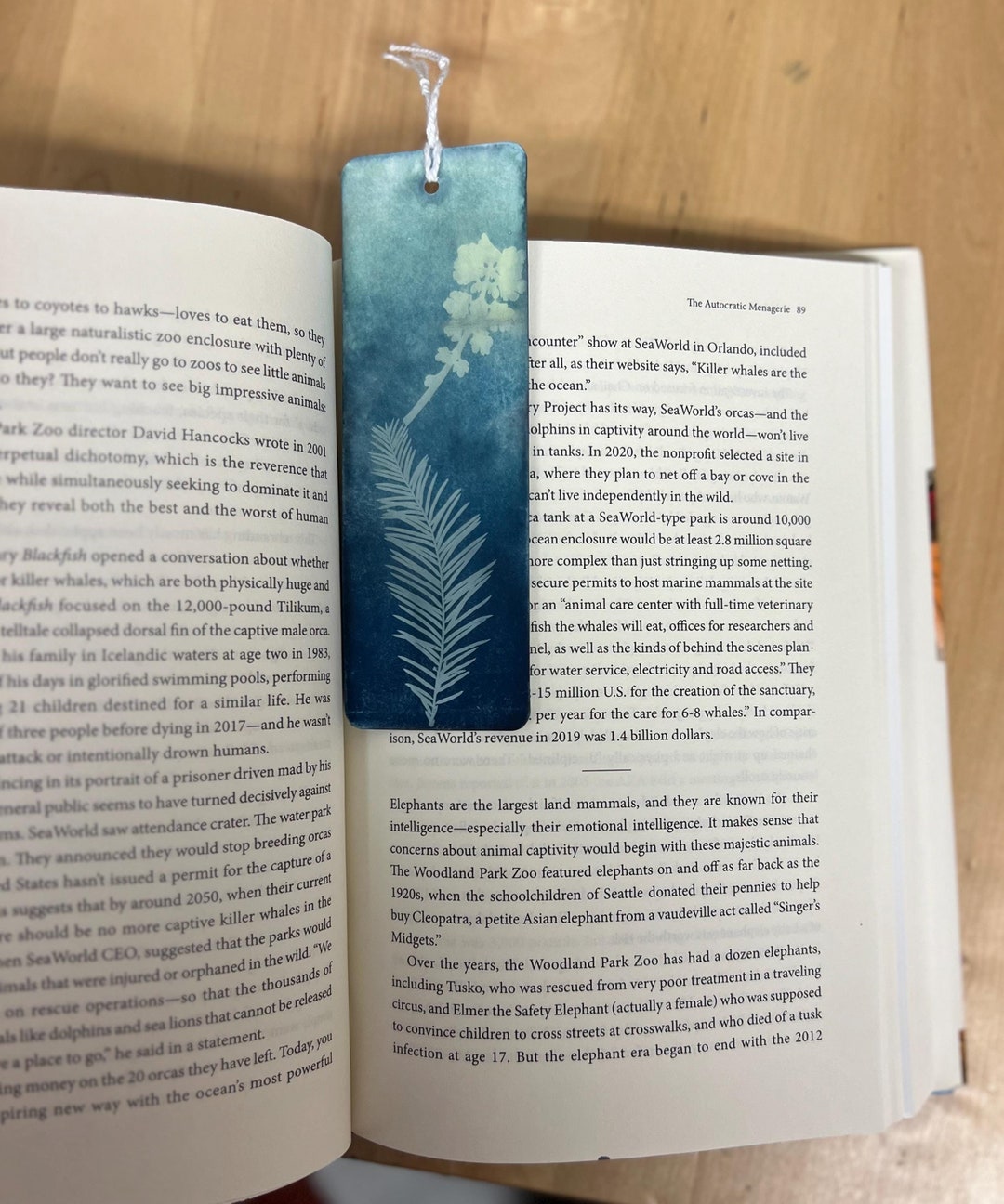 Fern & Lace Bookmarks Set of 2 - Etsy