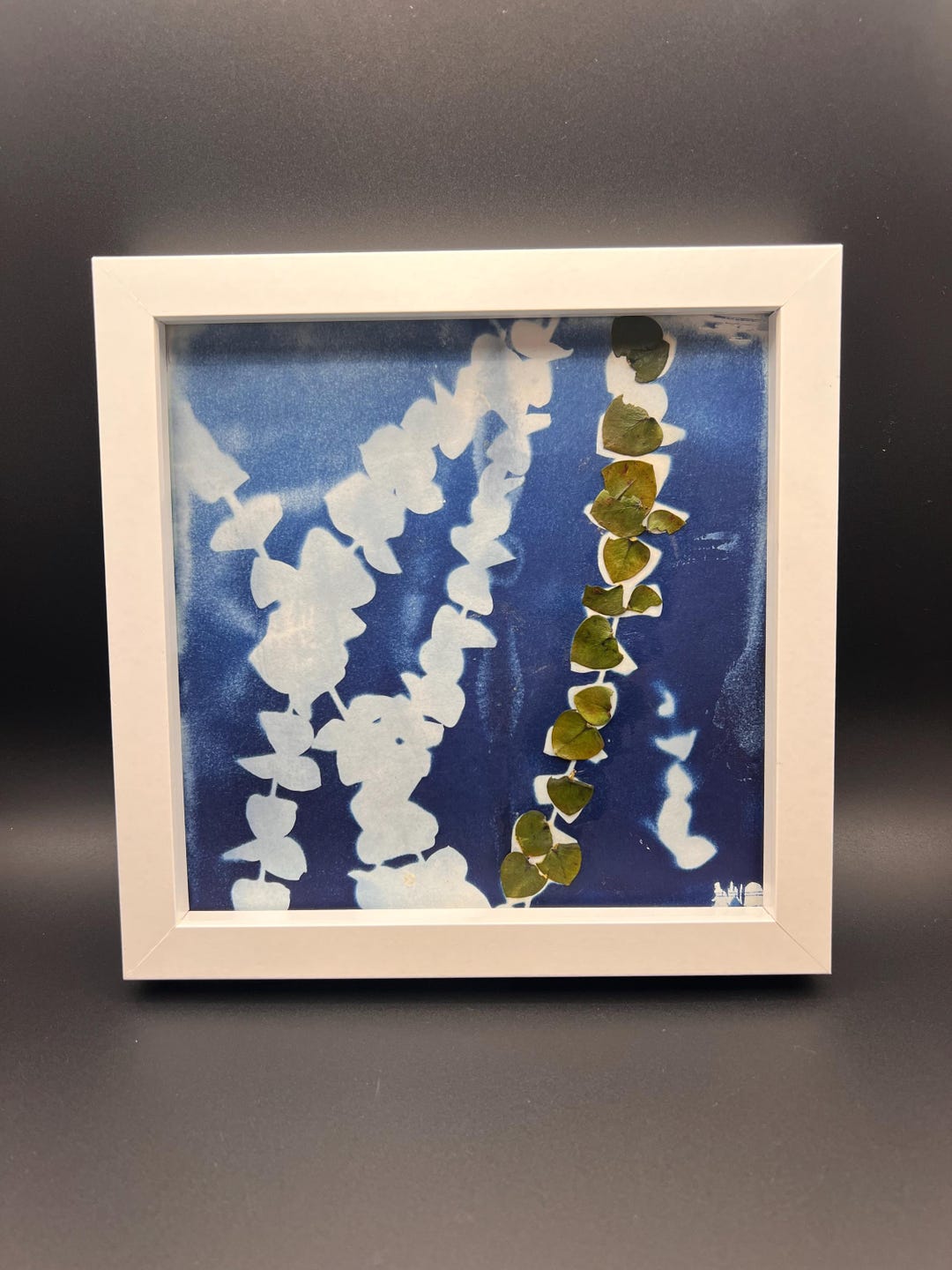 Koala Joy Framed 9x9 Cyanotype Collage - Etsy