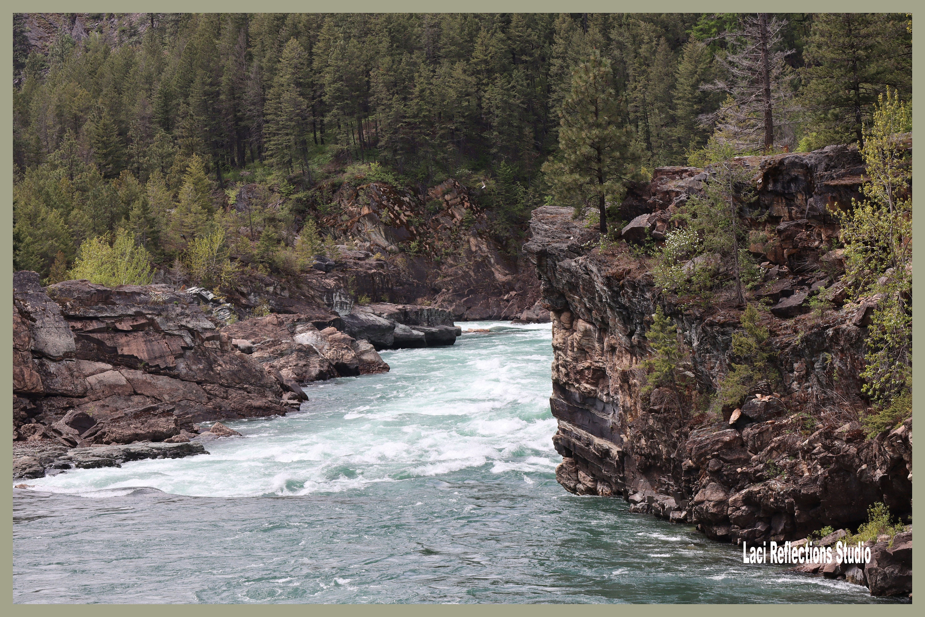 Digital Download, Digital Print, Photo Download, Print Download ...