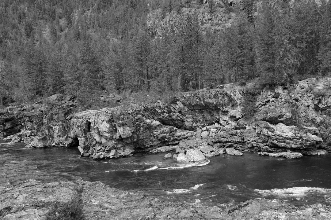 Digital Download, Digital Print, Photo Download, Print Download ...