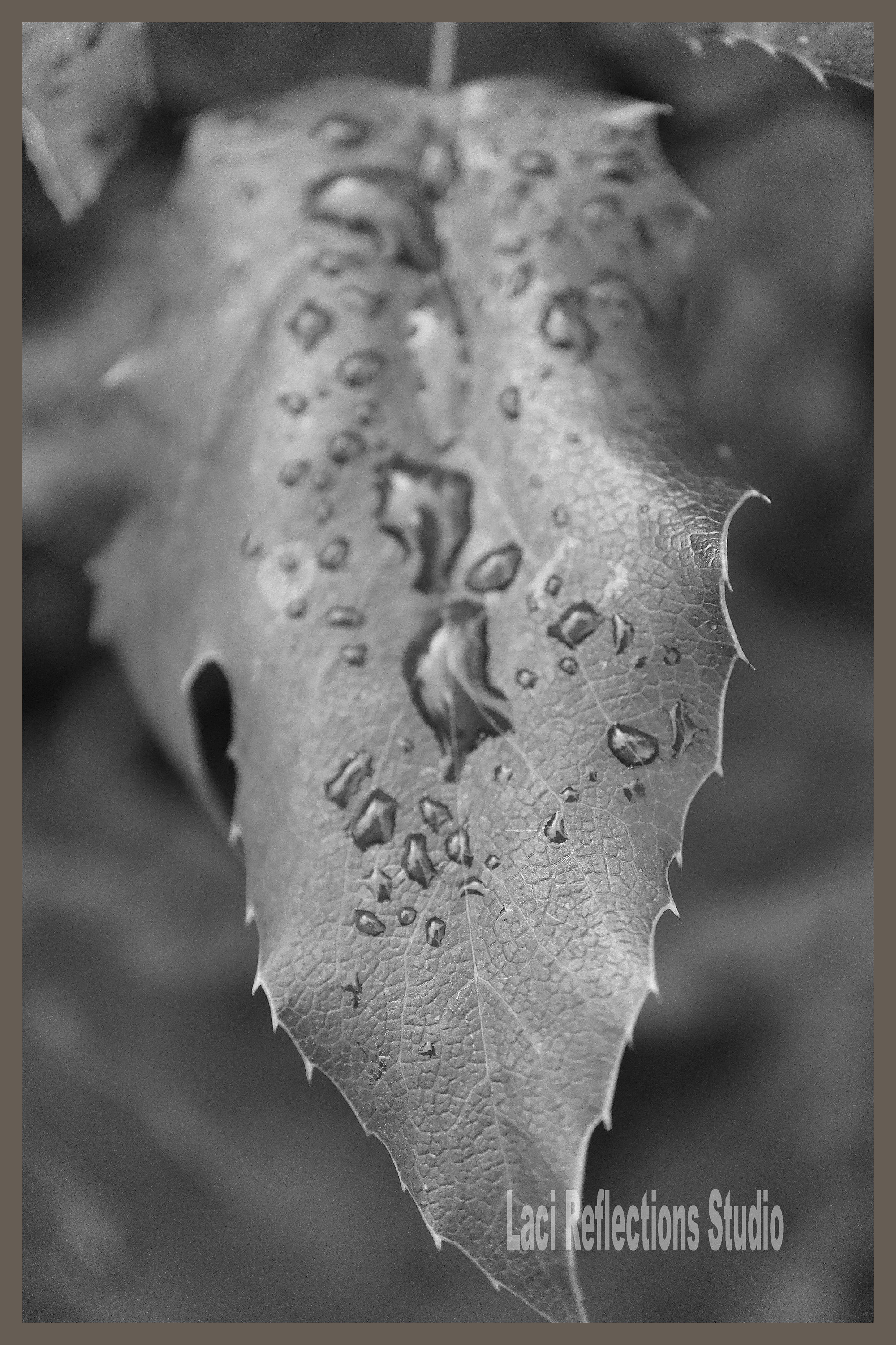 Digital Download, Digital Print, Photo Download, Print Download ...