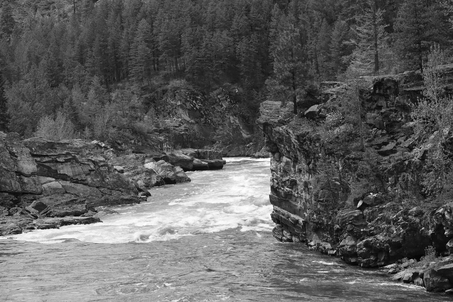 Digital Download, Digital Print, Photo Download, Print Download ...