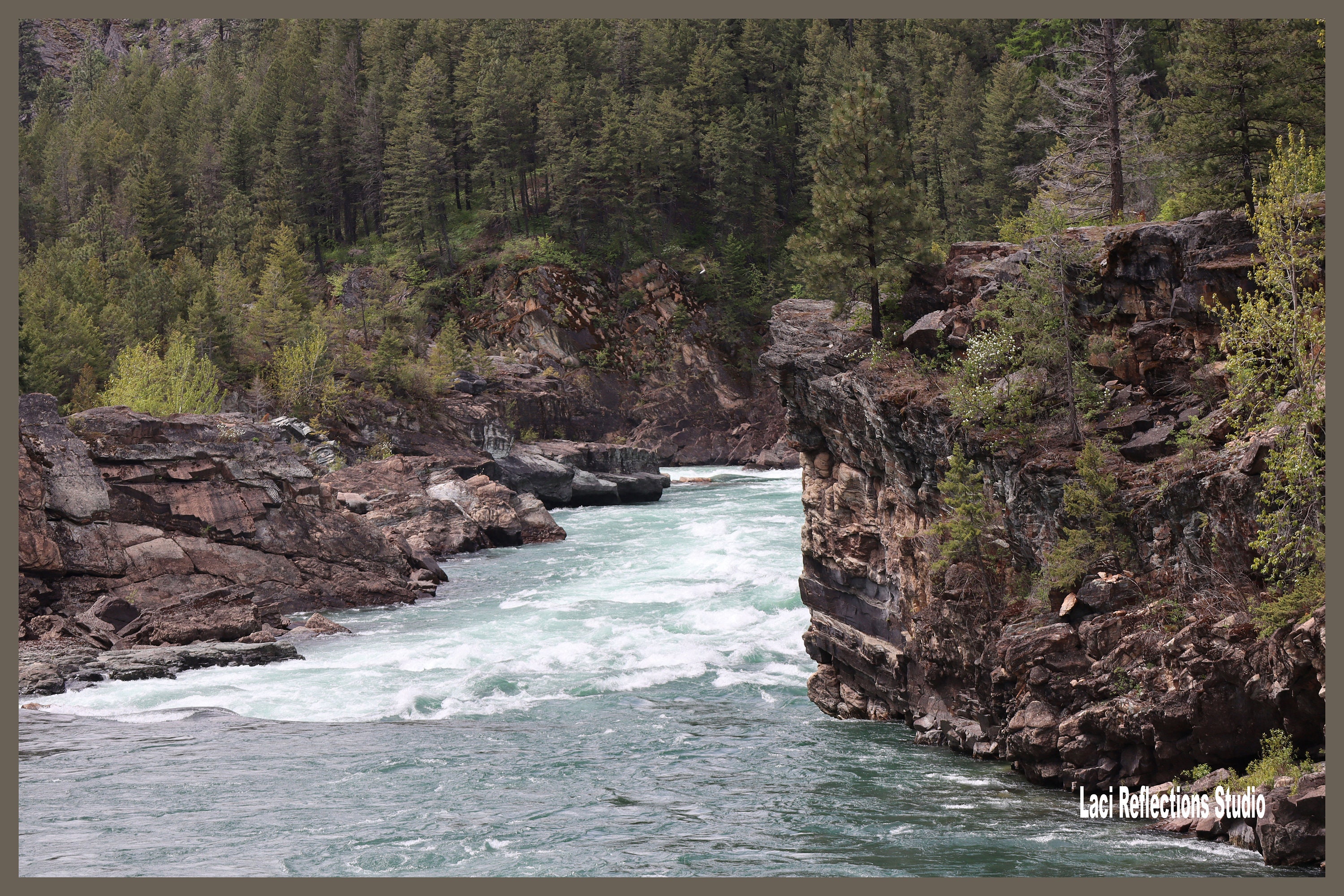 Digital Download, Digital Print, Photo Download, Print Download ...