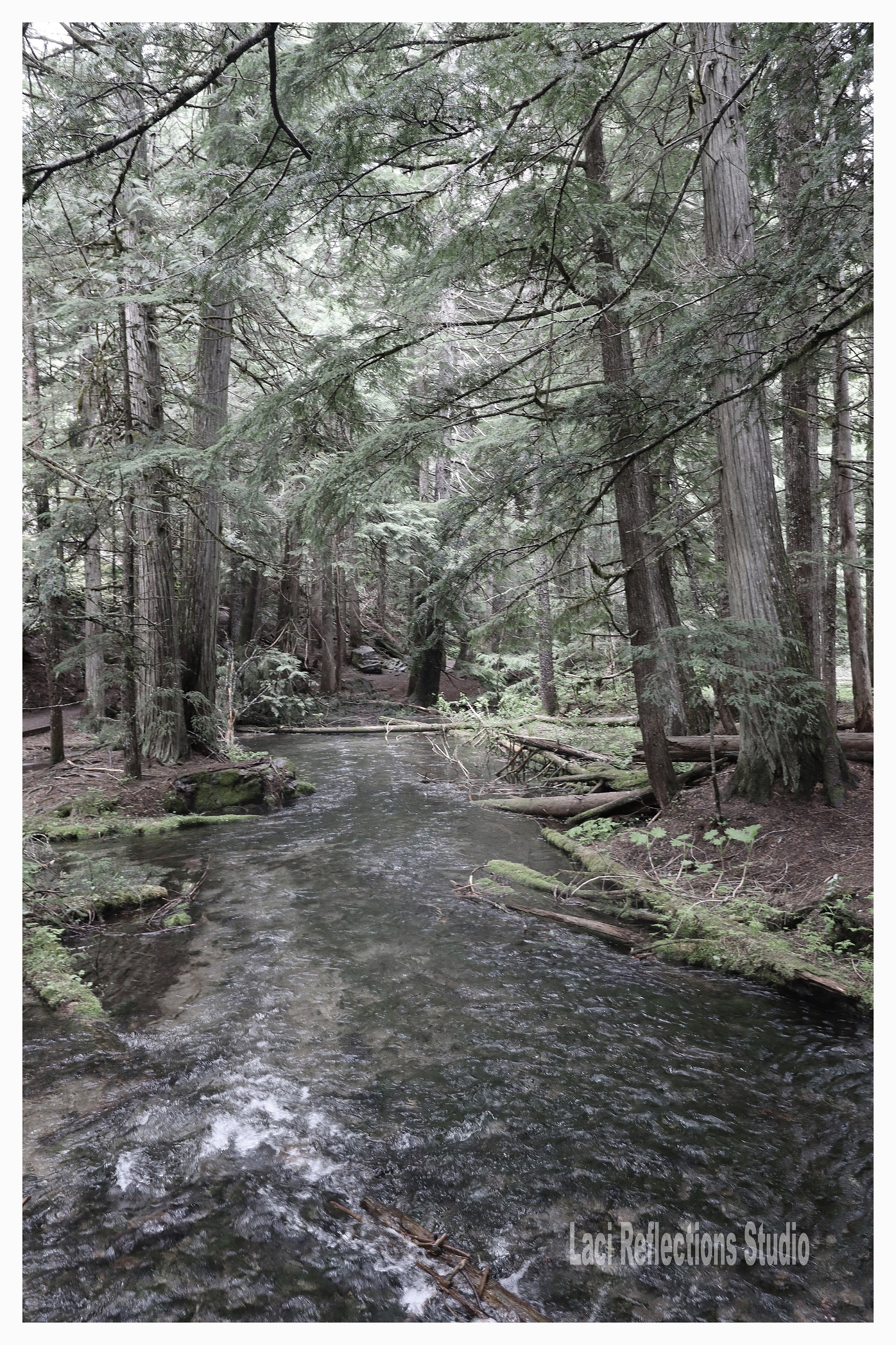 Digital Download, Digital Print, Photo Download, Print Download ...