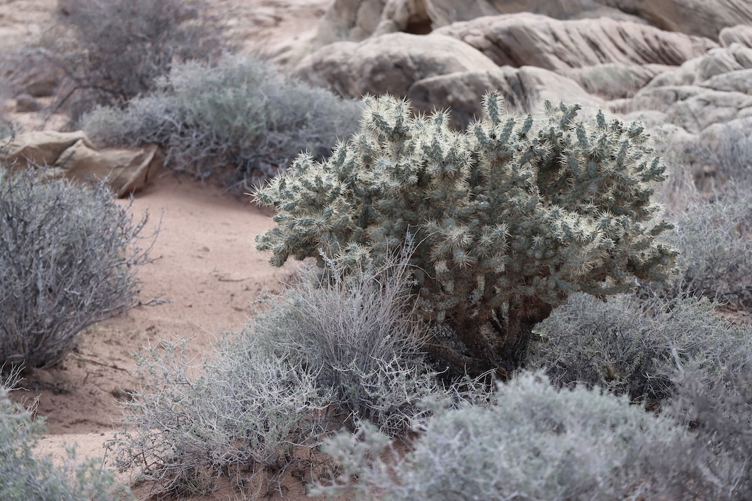 Digital Download, Digital Print, Digital Photo, Landscape Photo ...