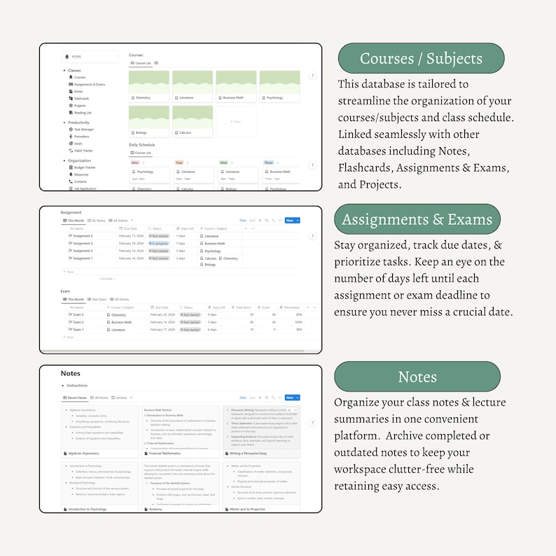Notion Student Planner: College Academic Dashboard (PLR Digital ...