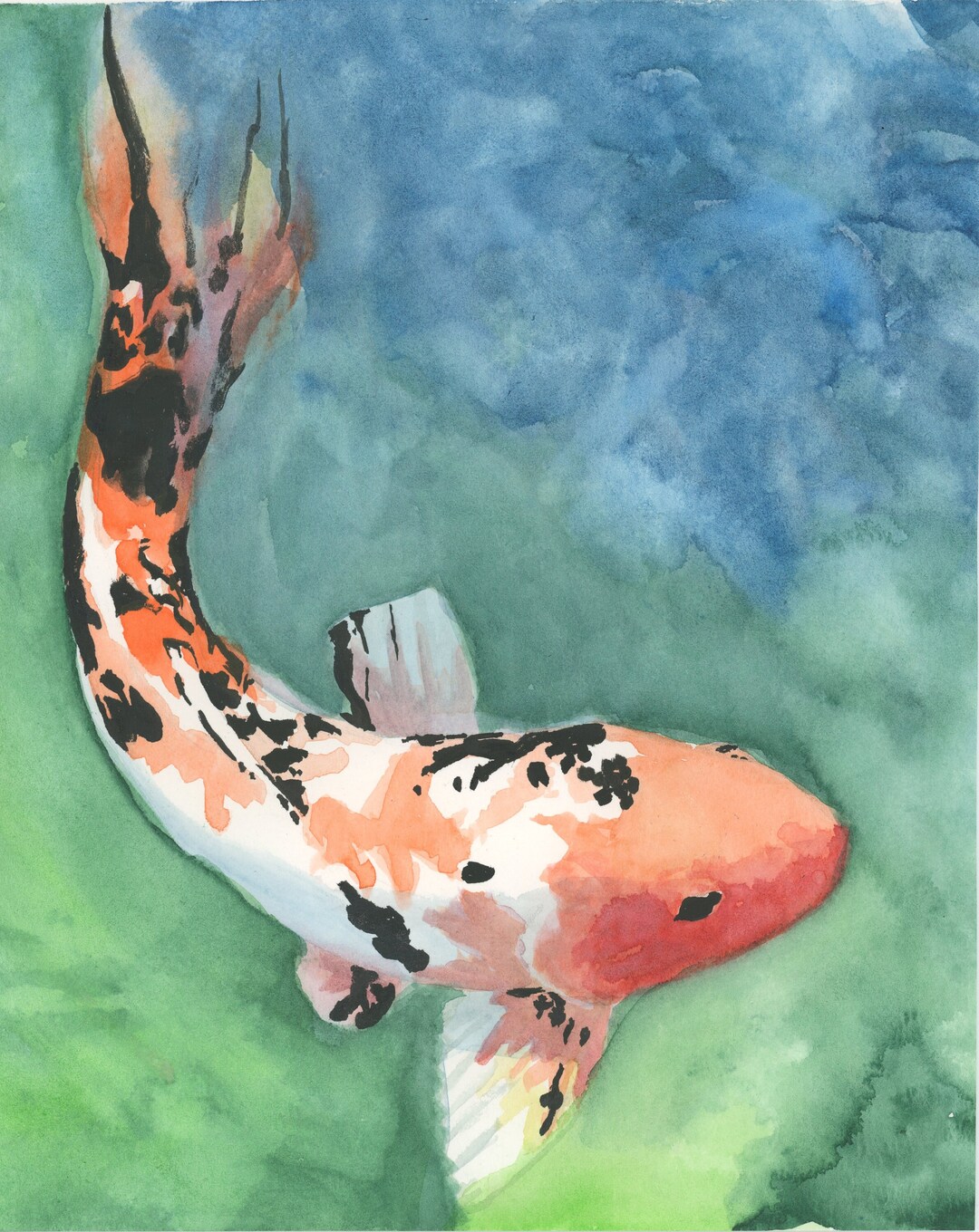 Coy Fish Watercolor Painting 8 X 10 - Etsy