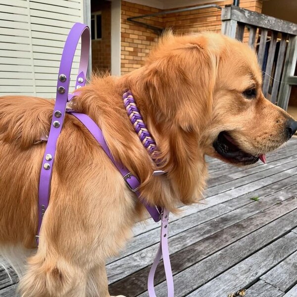 Service Dog - Etsy Australia