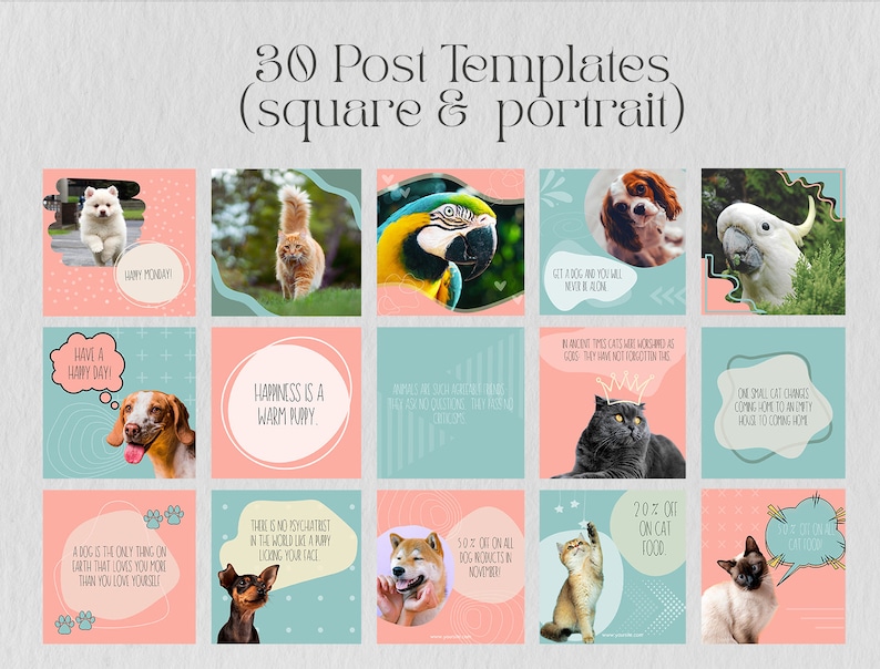 Animal Social Media Templates for Instagram: Pet Shop, Shelter Vet ...