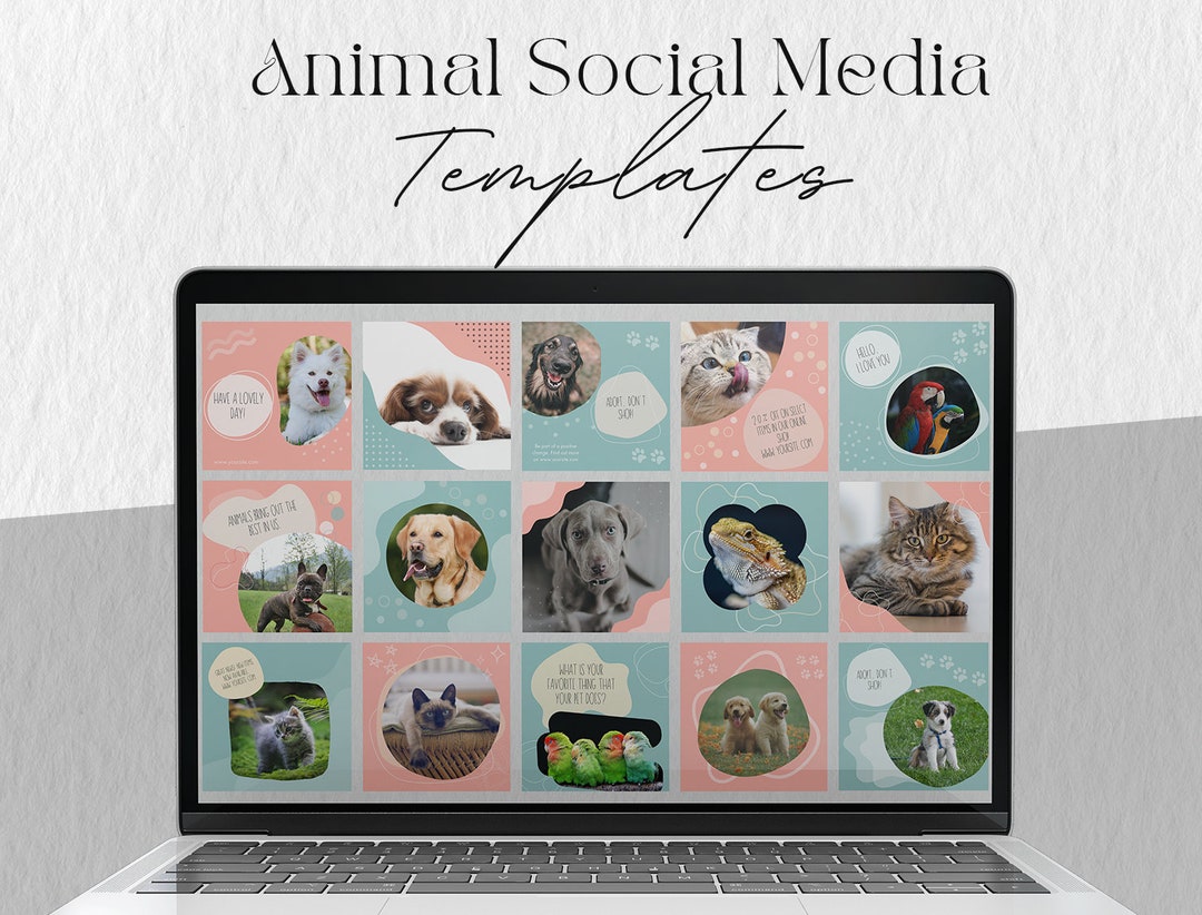 Animal Social Media, Shelter Facebook, Pet Shop Social Media Templates ...