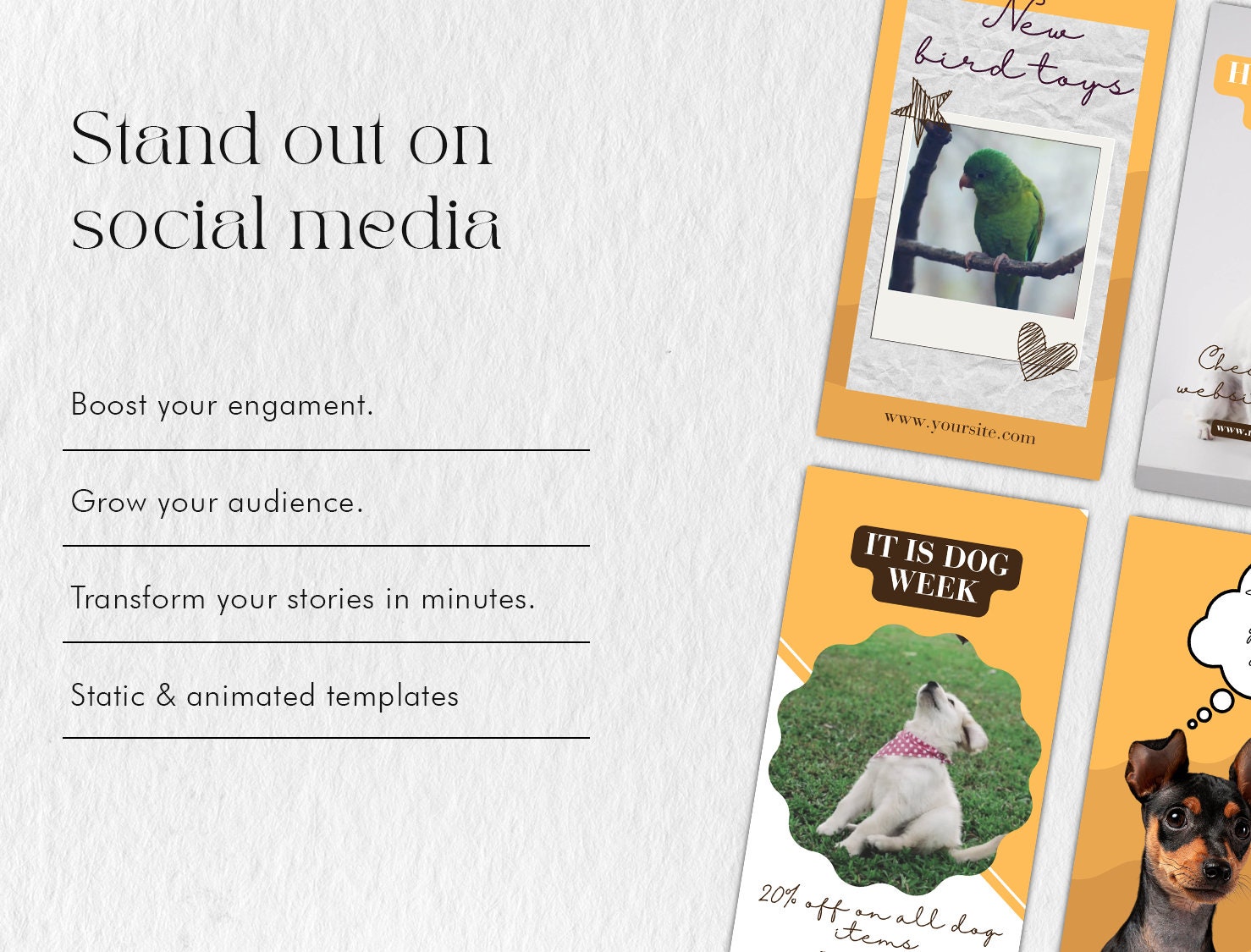 Social Media Posts for a Pet Store Vet Shelter Animal Account. Branding ...