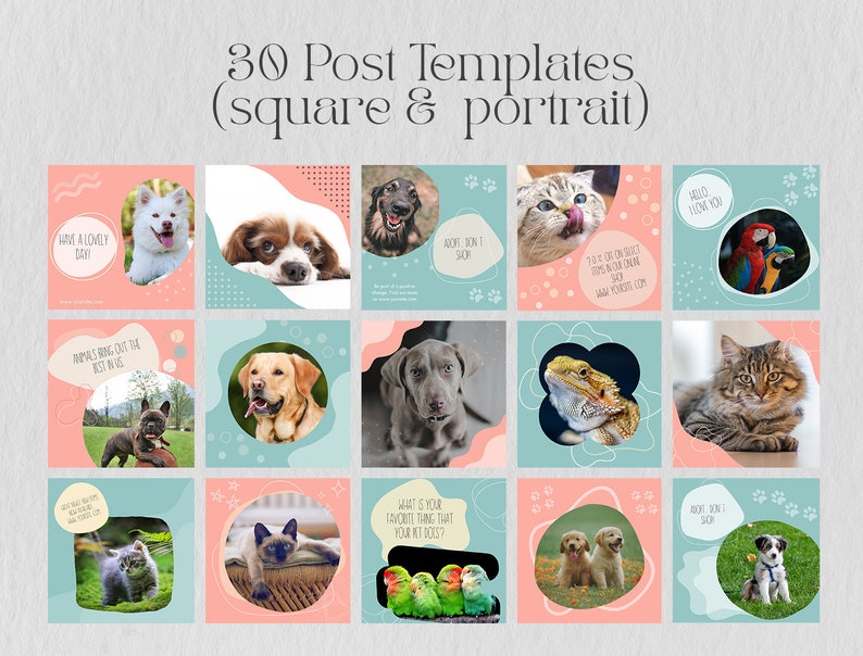 Animal Social Media Templates for Instagram: Pet Shop, Shelter Vet ...