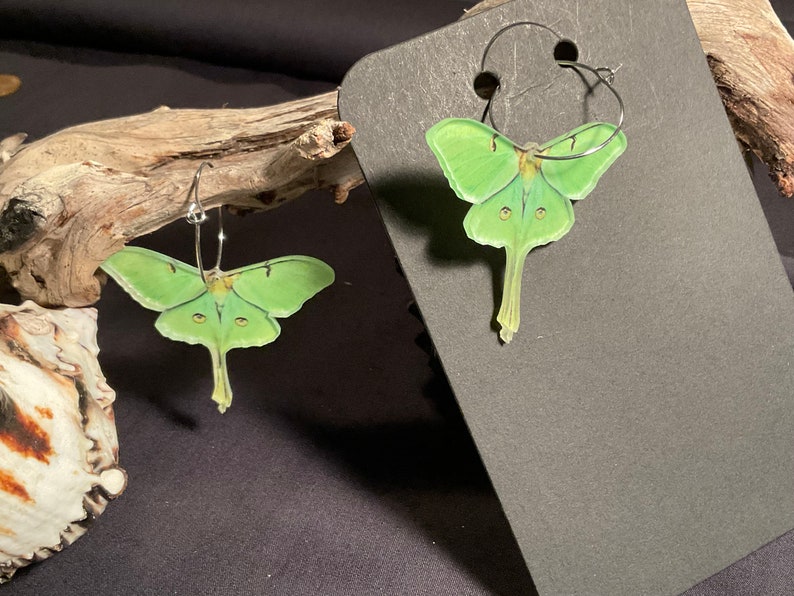 Luna Moth - Moon Moth Eye Catching Earrings. Lightweight Acrylic - Etsy