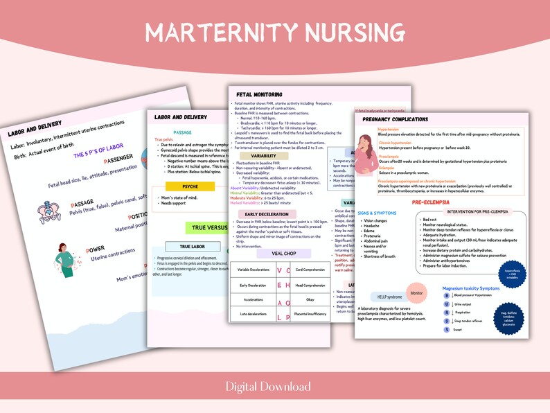 Maternity Bundle, Nursing Study Guide, Student Nurse, Nursing Notes,ob ...