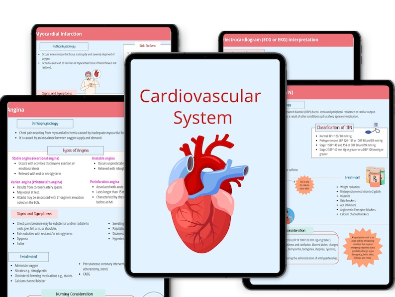 Nursing School Notes: Cardiovascular System. Nursing Student Notes ...