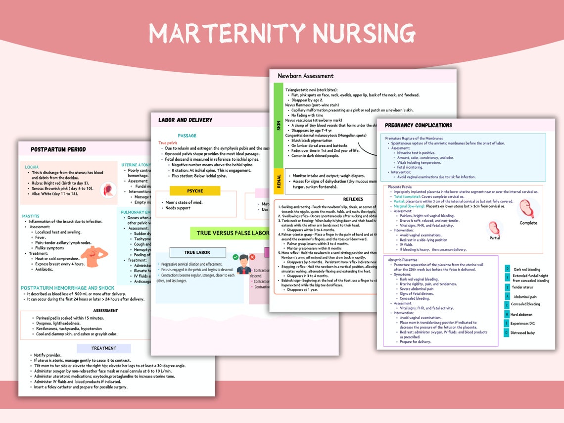 Maternity Bundle, Nursing Study Guide, Student Nurse, Nursing Notes,ob ...