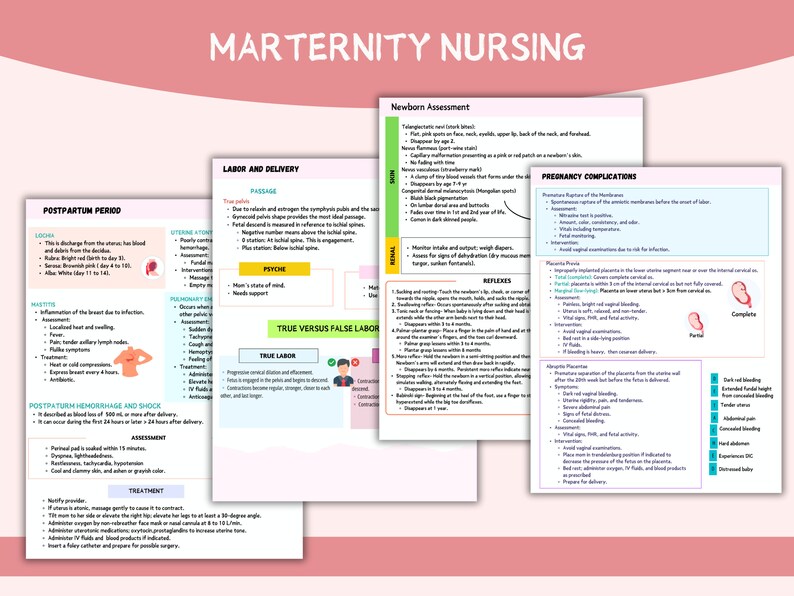 Maternity Bundle, Nursing Study Guide, Student Nurse, Nursing Notes,ob ...
