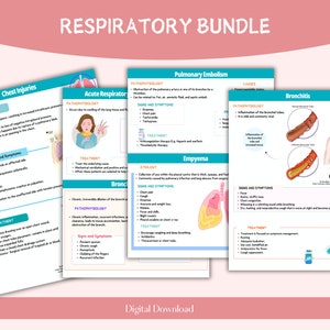 Respiratory System Notes, Respiratory Therapy, Nursing Notes ...