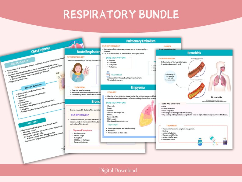 Respiratory System Notes, Respiratory Therapy, Nursing Notes ...