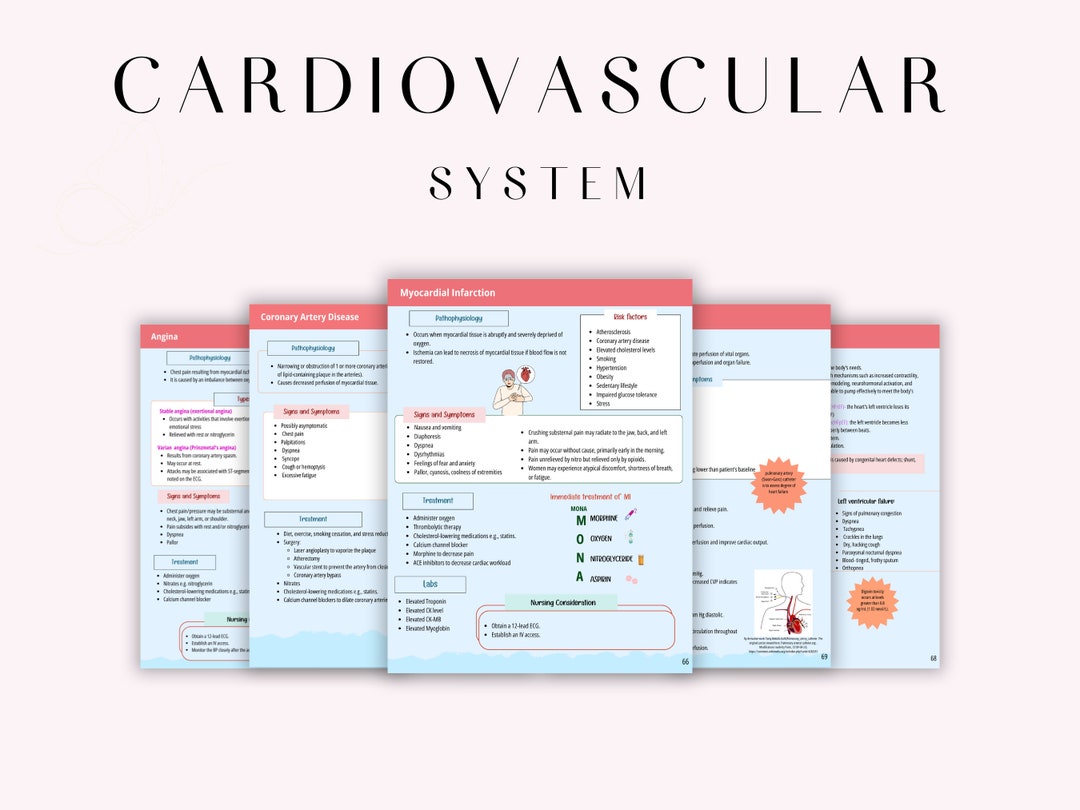 Nursing School Notes: Cardiovascular System. Nursing Student Notes ...