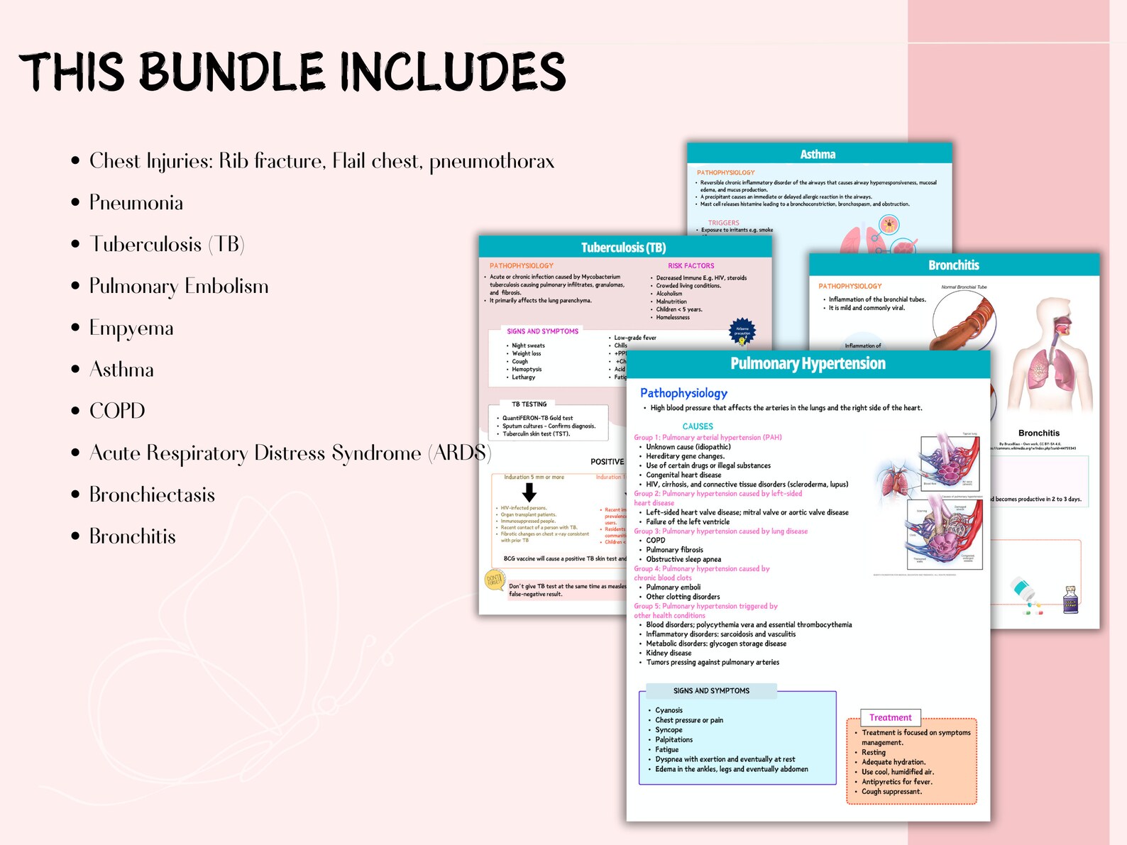 Respiratory System Notes, Respiratory Therapy, Nursing Notes ...