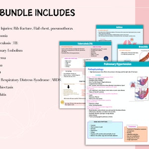 Respiratory System Notes, Respiratory Therapy, Nursing Notes ...