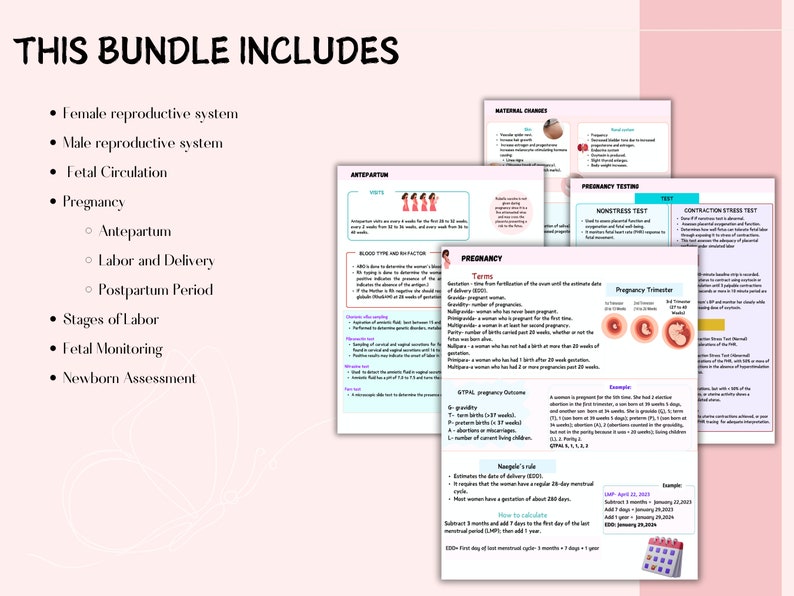 Maternity Bundle, Nursing Study Guide, Student Nurse, Nursing Notes,ob ...