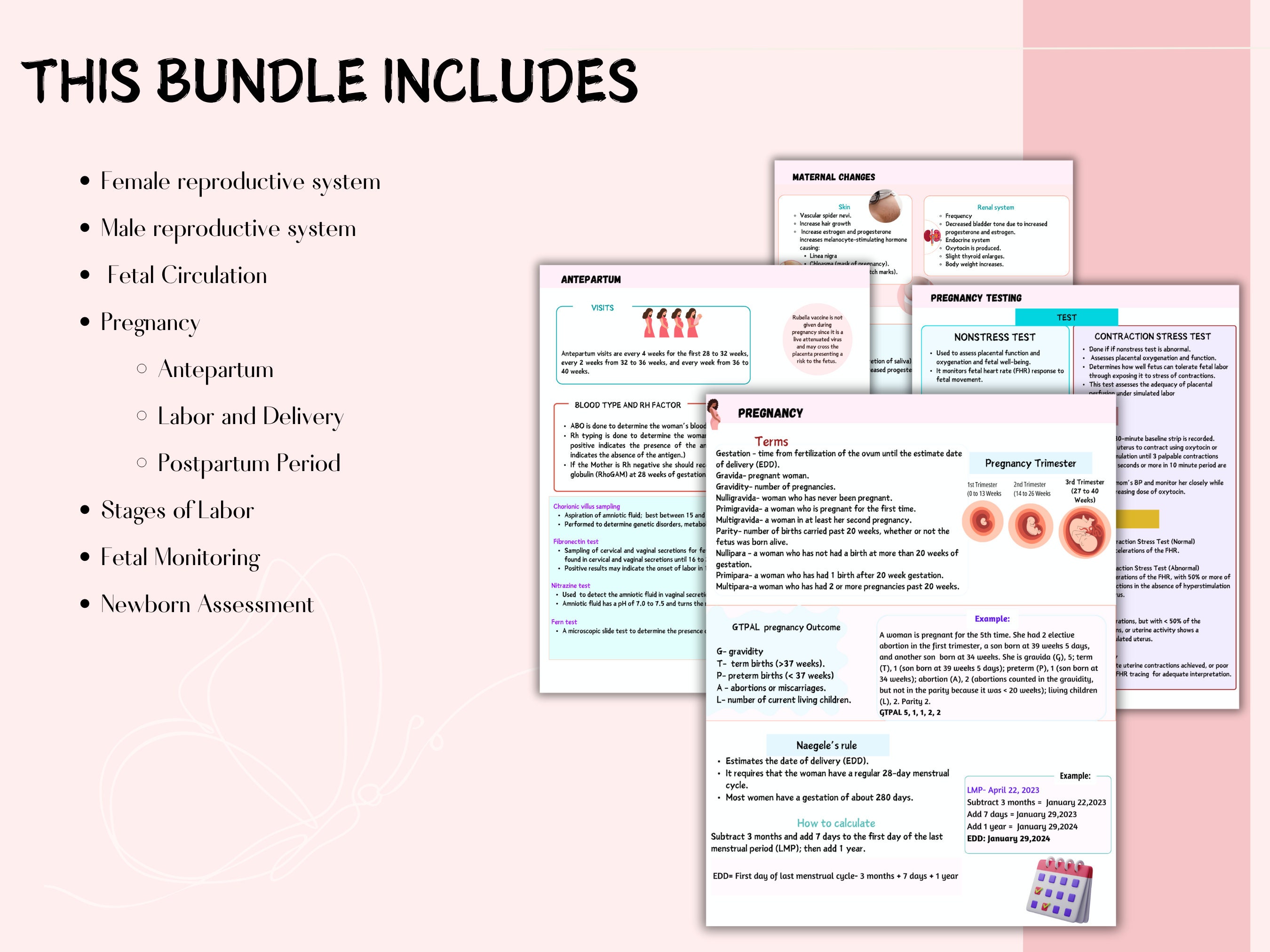 Maternity Bundle, Nursing Study Guide, Student Nurse, Nursing Notes,ob ...