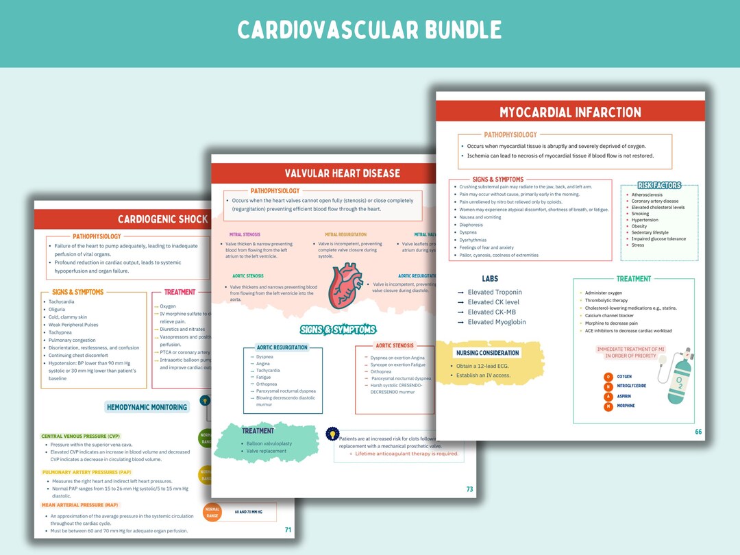 Cardiovascular System Nurse Notes for Medsurg Nursing Student Study ...