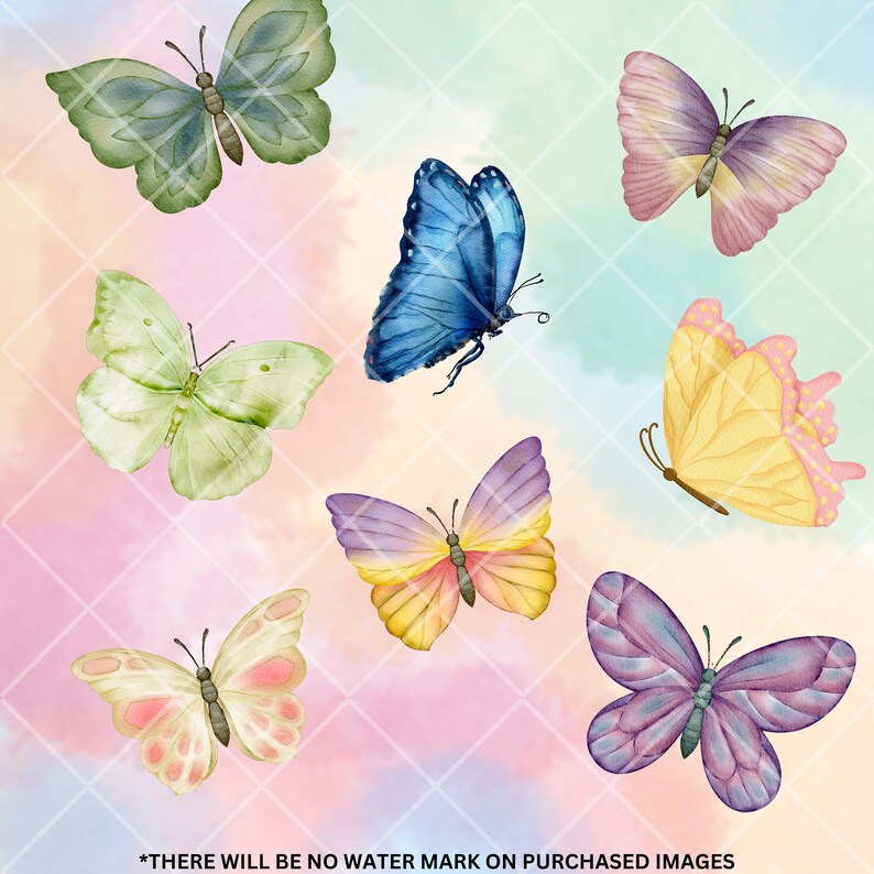 Watercolor Butterfly Clipart, Minimalist Watercolor Butterfly Clipart ...