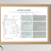 Spinal Degeneration Poster Pdf Download - Etsy