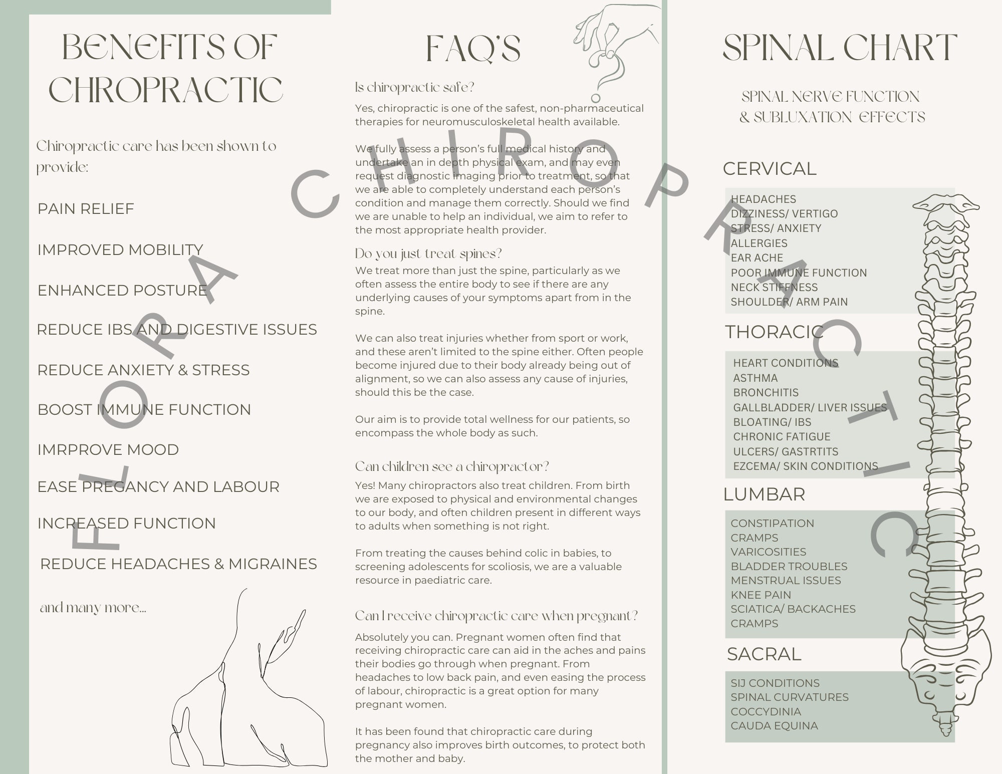 Chiropractic Leaflet- Introducing Patients to Chiropractic PDF Download ...