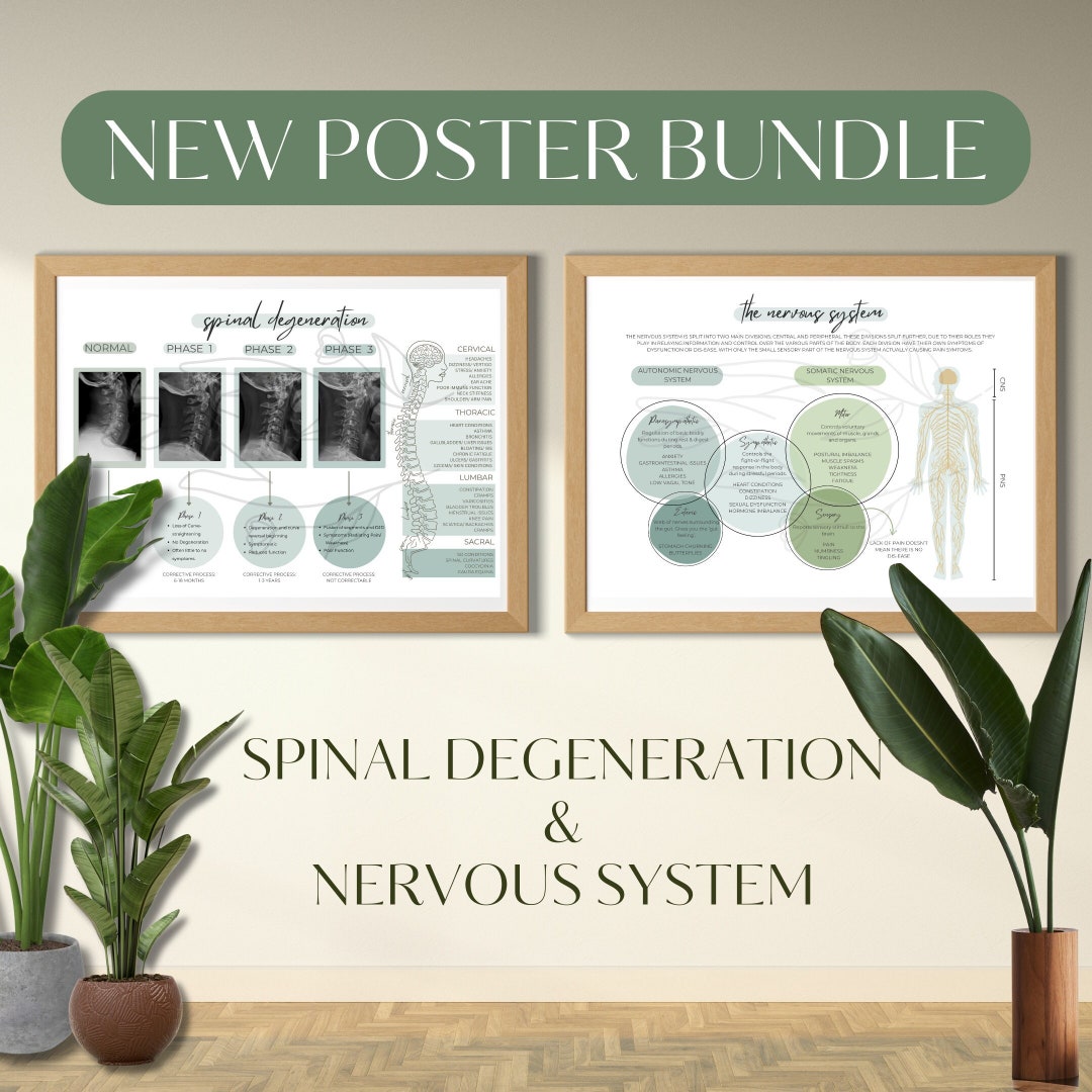 Poster Bundle! Spinal Degeneration and the Nervous System - Etsy