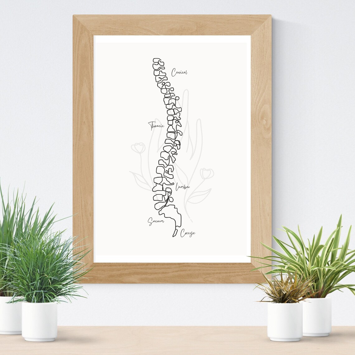 Spinal Anatomy Poster: Minimalist Line Art for Clinic Decor (PDF ...