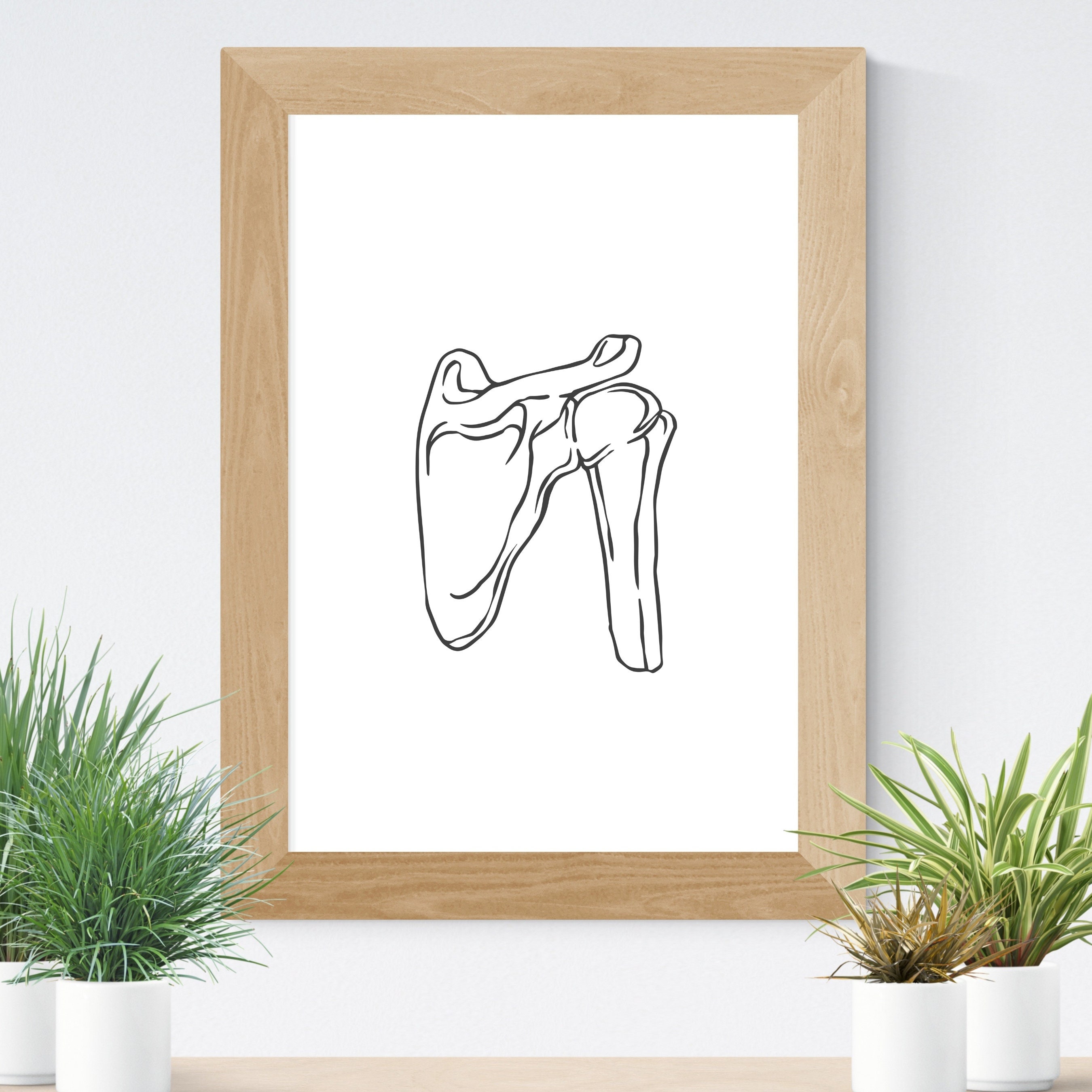 Bundle Extremity Anatomy Posters: Minimalistic, Upper Limb Line Drawing ...