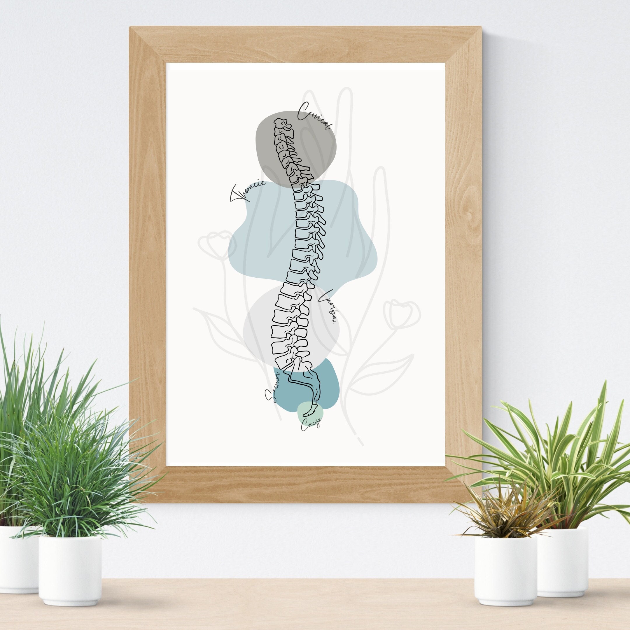 Spinal Anatomy Poster LAT View: Minimalistic Drawing Posters PDF ...