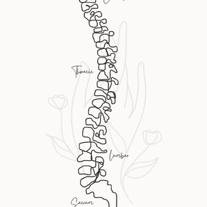 Spinal Anatomy Poster: Minimalist Line Art for Clinic Decor (PDF ...