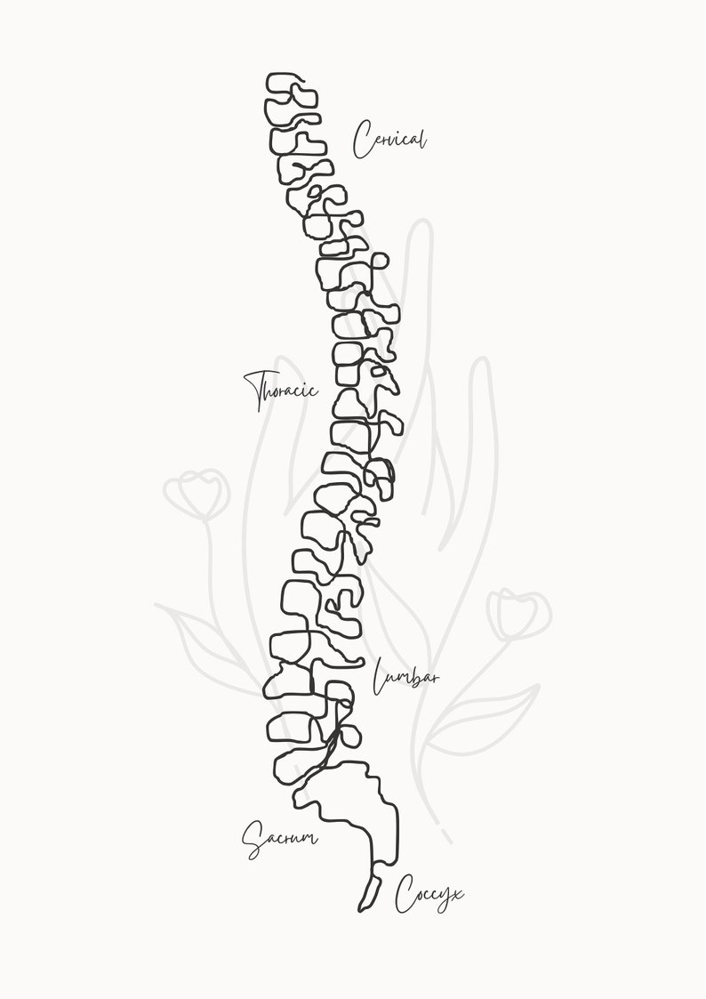 Spinal Anatomy Poster Lateral View: Minimalistic Drawing Posters PDF ...