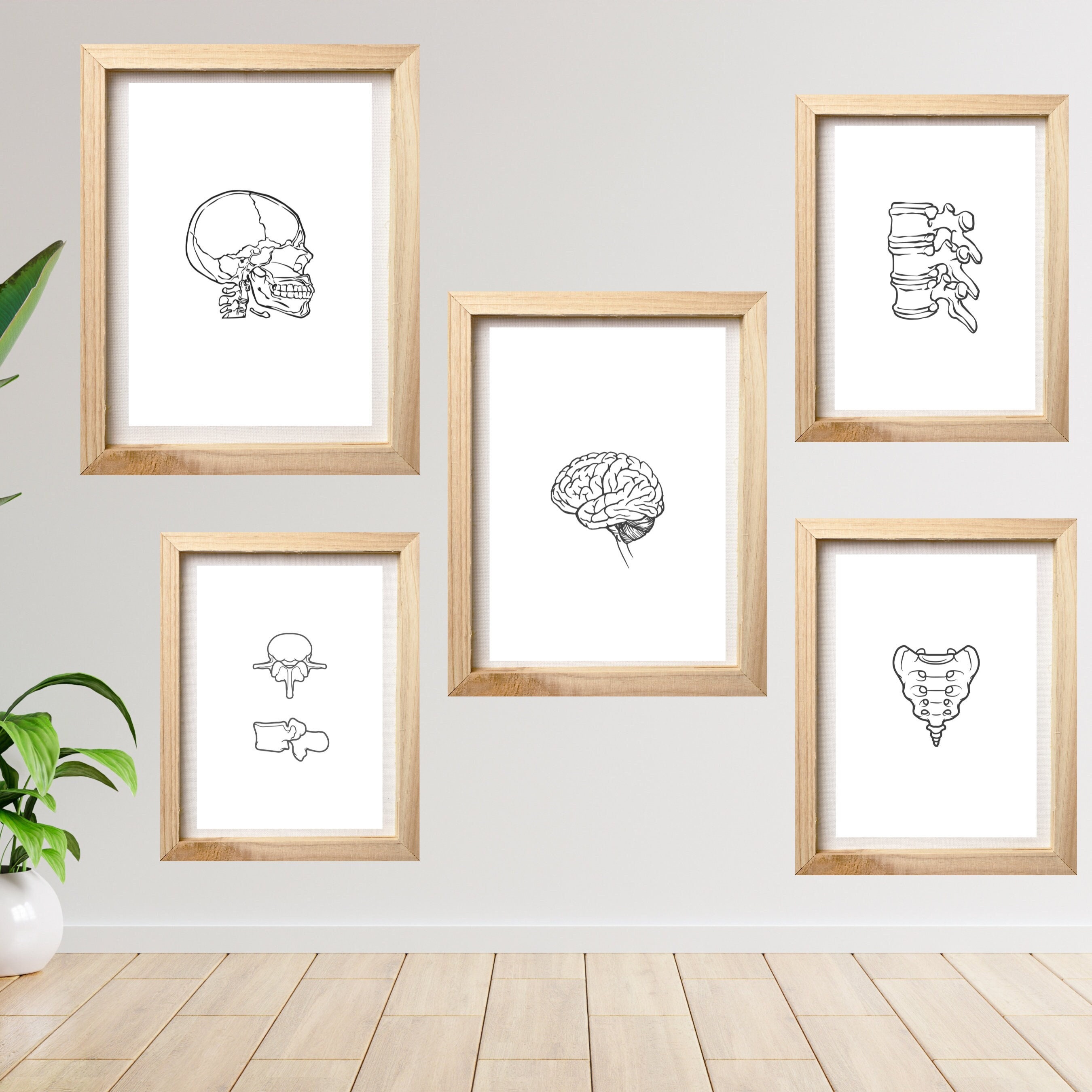 Bundle Spinal Anatomy Posters: Minimalistic, Spinal System Line Drawing ...