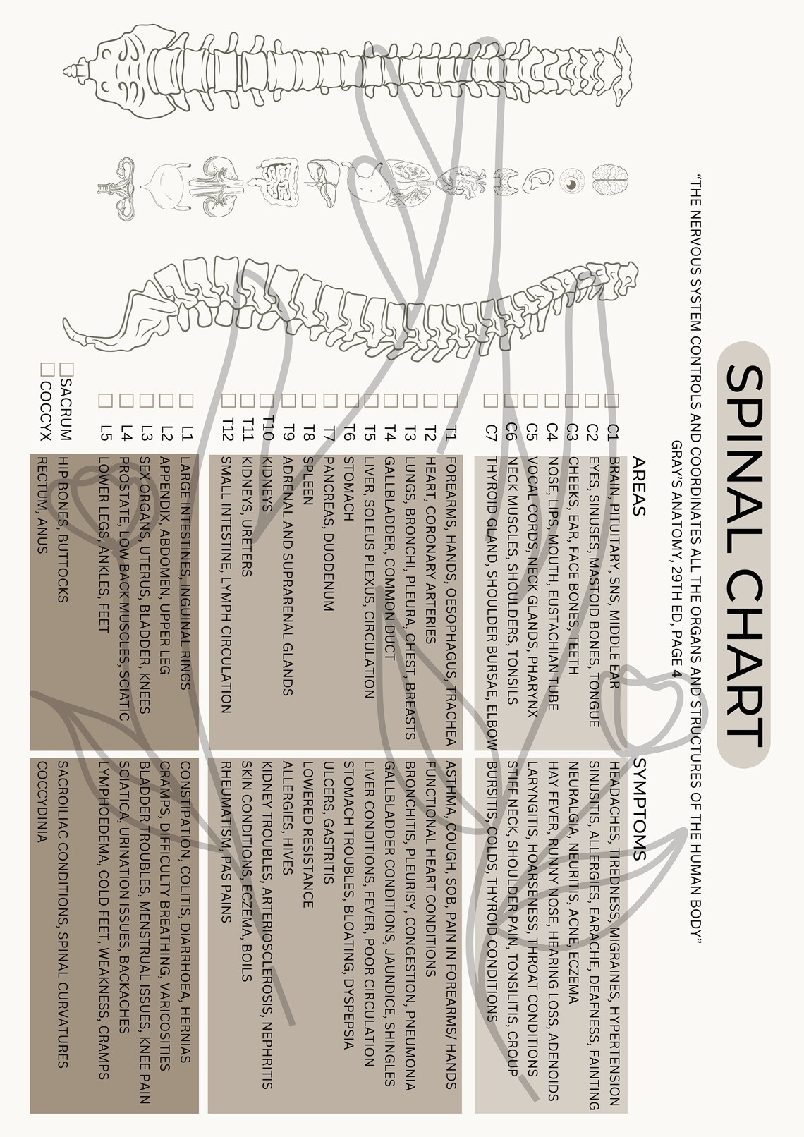 Chiropractic Starter Pack ROF Pack: 7 Pages Plus Folder Cover Beige PDF ...