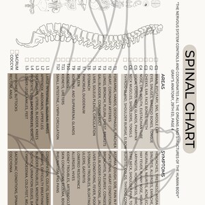 Chiropractic Starter Pack- ROF Pack: 7 Pages Plus Folder Cover Beige ...