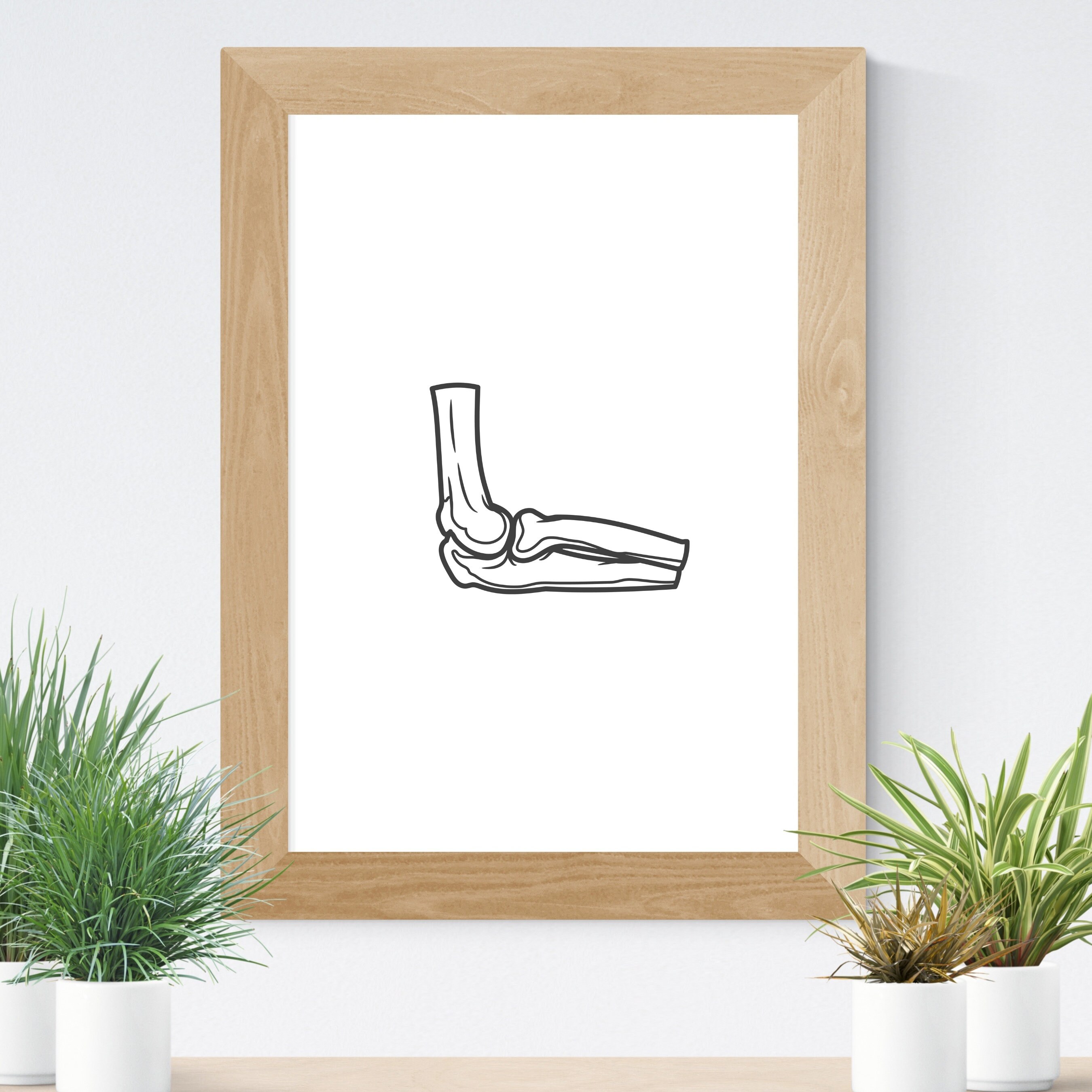 Bundle Extremity Anatomy Posters: Minimalistic, Upper Limb Line Drawing ...