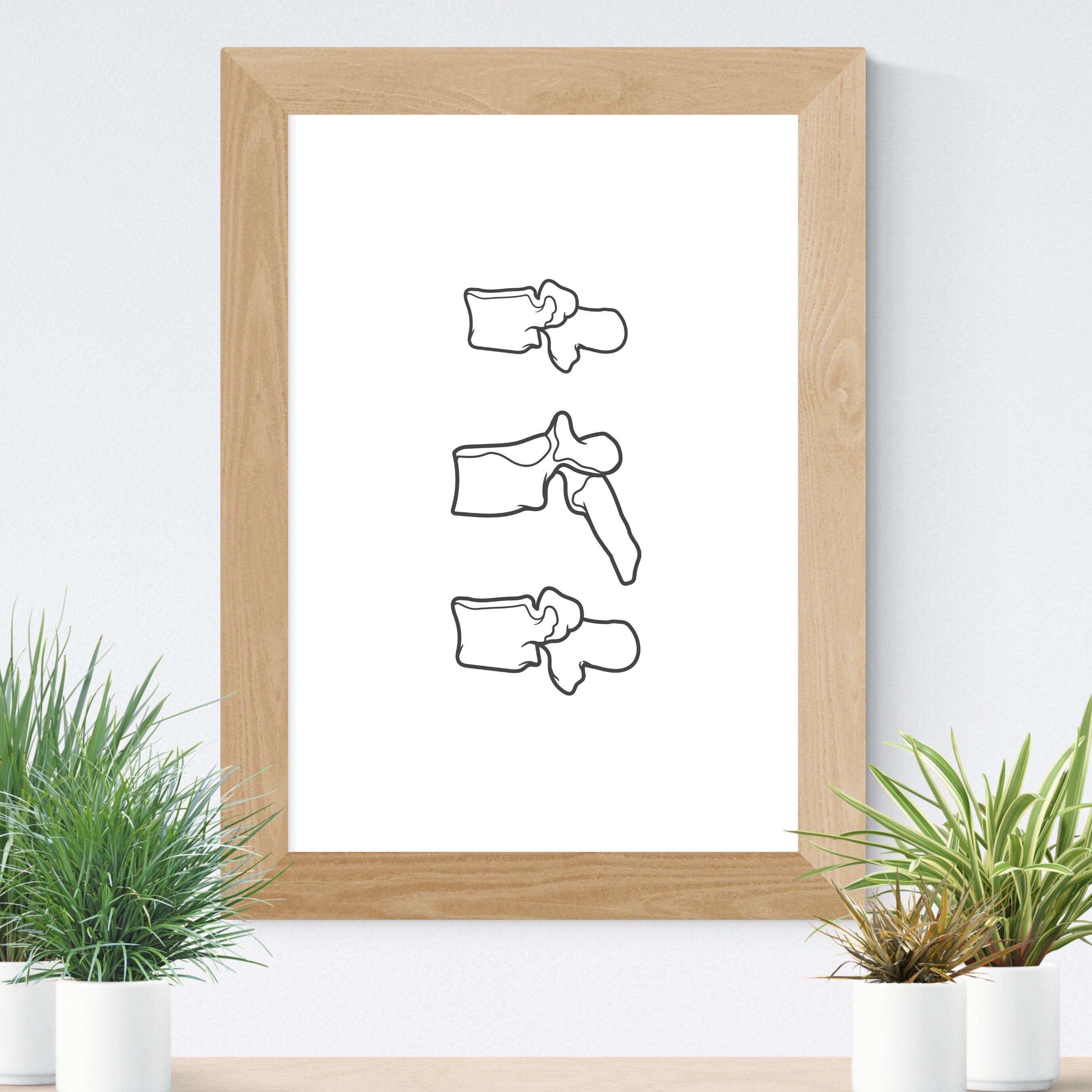 Bundle Spinal Anatomy Posters: Minimalistic, Spinal System Line Drawing ...